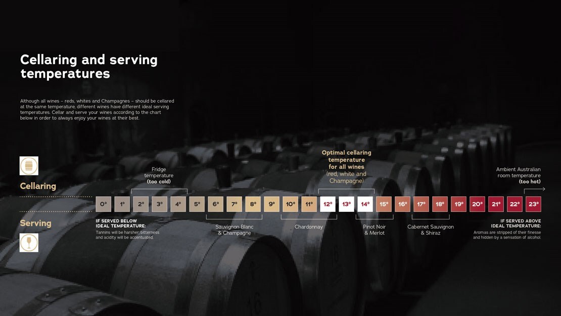 Buying guide | Vintec Australia